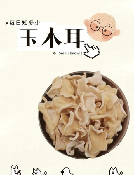 玉木耳怎么吃_玉木耳做法大全-第2张图片-山城妙识
