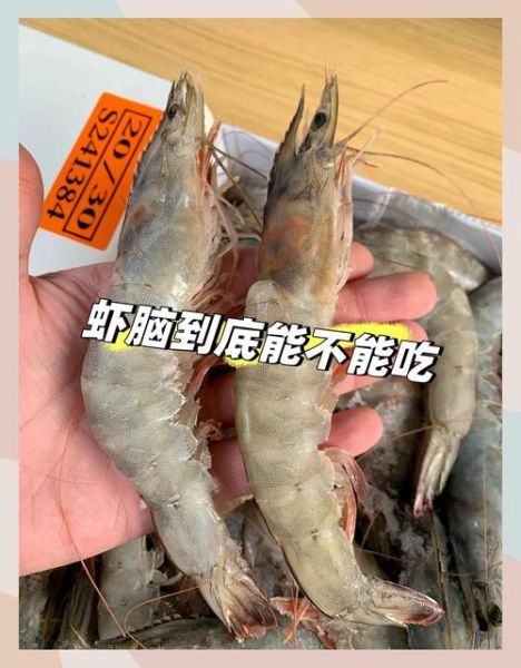 虾头能吃吗_虾头重金属超标真相-第1张图片-山城妙识 虾头能吃吗_虾头重金属超标真相-第1张图片-山城妙识