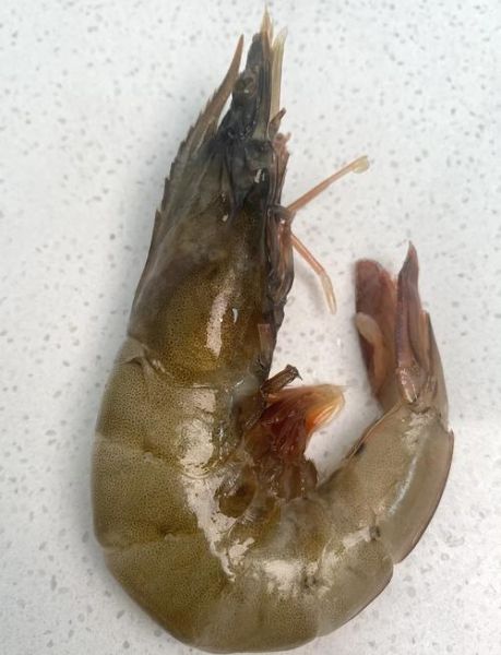 虾头能吃吗_虾头重金属超标真相-第2张图片-山城妙识 虾头能吃吗_虾头重金属超标真相-第2张图片-山城妙识