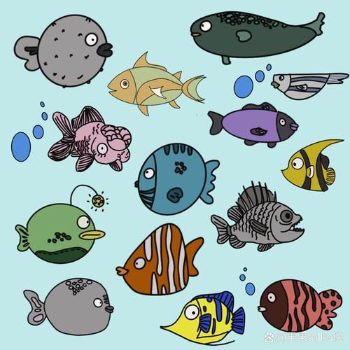 卡通可爱鱼图片怎么画_可爱鱼卡通图片素材去哪找-第2张图片-山城妙识 卡通可爱鱼图片怎么画_可爱鱼卡通图片素材去哪找-第2张图片-山城妙识