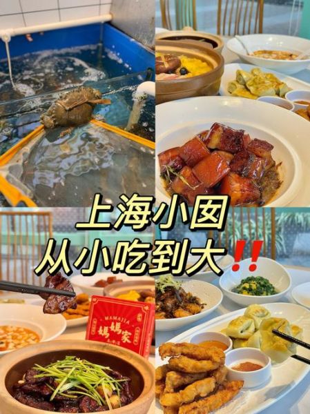 上海旅游必吃美食有哪些_本地人推荐餐厅在哪-第1张图片-山城妙识 上海旅游必吃美食有哪些_本地人推荐餐厅在哪-第1张图片-山城妙识