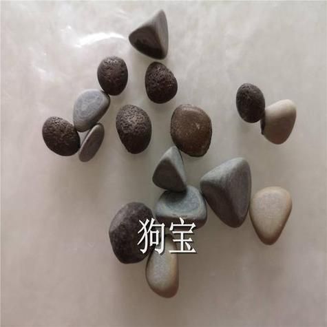 狗宝是什么_狗宝多少钱一克-第1张图片-山城妙识