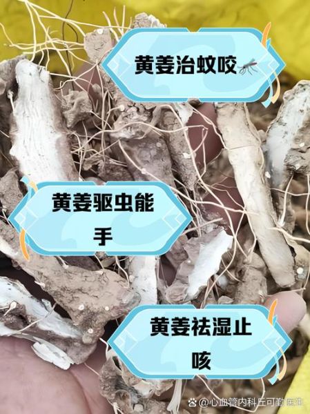 姜黄外用能消炎吗_姜黄外敷的正确方法-第1张图片-山城妙识