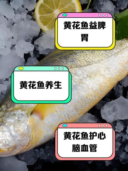 黄鱼的营养价值_黄鱼吃了有什么好处-第1张图片-山城妙识