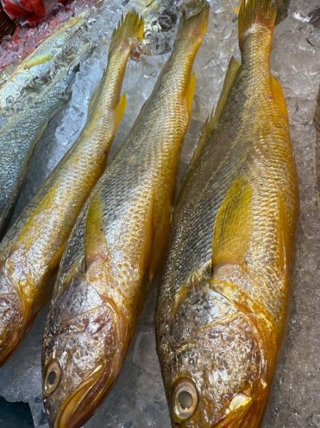 黄鱼的营养价值_黄鱼吃了有什么好处-第3张图片-山城妙识