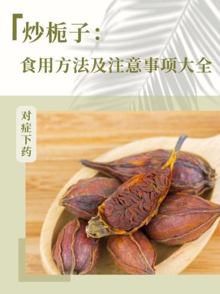 炒栀子的功效与作用_炒栀子主要治什么病-第2张图片-山城妙识 炒栀子的功效与作用_炒栀子主要治什么病-第2张图片-山城妙识