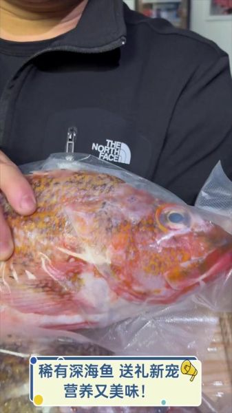 真正的深海鱼有哪些_深海鱼种类大全-第3张图片-山城妙识