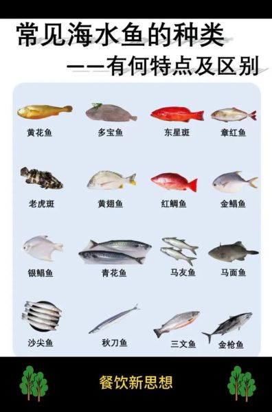 真正的深海鱼有哪些_深海鱼种类大全-第1张图片-山城妙识