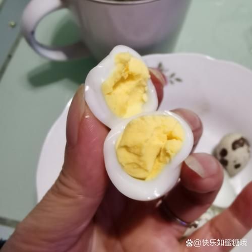 鸽子蛋价格多少钱一斤_鸽子蛋为什么这么贵-第2张图片-山城妙识