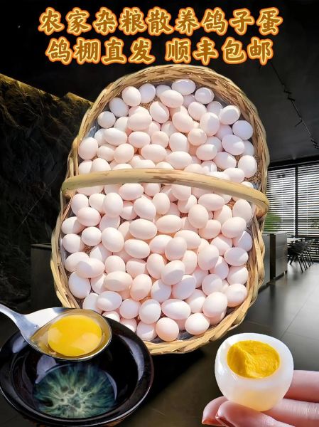 鸽子蛋价格多少钱一斤_鸽子蛋为什么这么贵-第3张图片-山城妙识