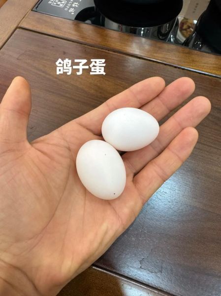 鸽子蛋价格多少钱一斤_鸽子蛋为什么这么贵-第1张图片-山城妙识