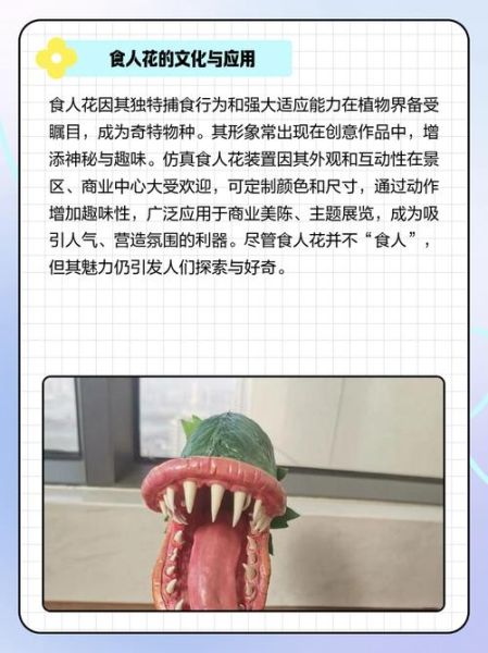 食人花怎么养_食人花养殖方法-第1张图片-山城妙识