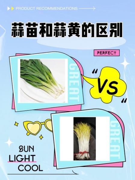 蒜黄怎么种_蒜黄种植方法-第1张图片-山城妙识 蒜黄怎么种_蒜黄种植方法-第1张图片-山城妙识