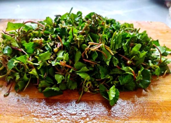 马蹄菜怎么做好吃_马蹄菜最佳吃法-第3张图片-山城妙识 马蹄菜怎么做好吃_马蹄菜最佳吃法-第3张图片-山城妙识