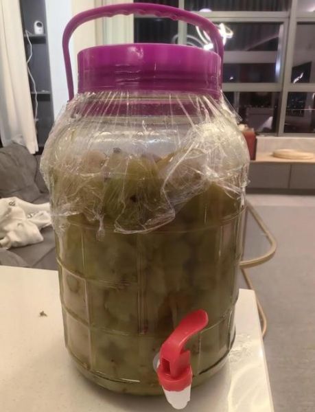 家庭自酿葡萄酒的做法_自酿葡萄酒怎么消毒-第3张图片-山城妙识