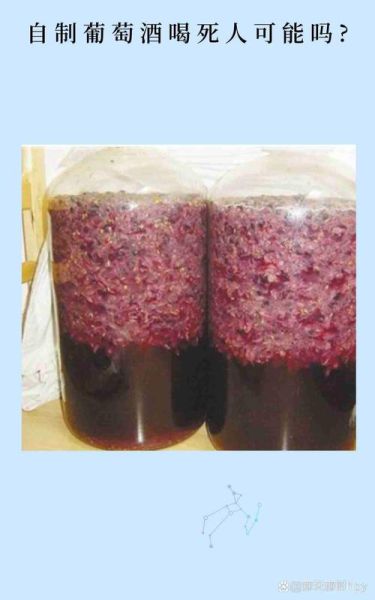 家庭自酿葡萄酒的做法_自酿葡萄酒怎么消毒-第2张图片-山城妙识