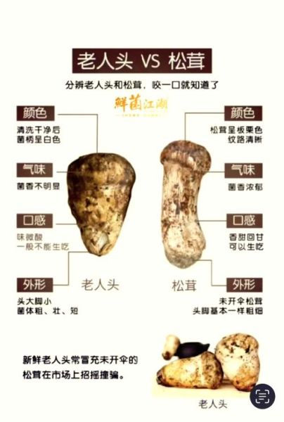 花松茸图片大全_如何分辨真假花松茸-第3张图片-山城妙识