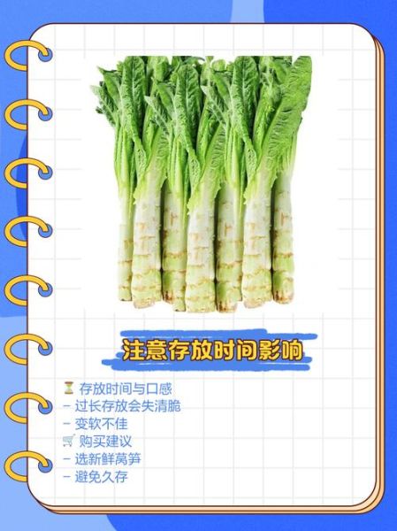 莴笋和莴苣的区别_如何一眼分辨-第2张图片-山城妙识