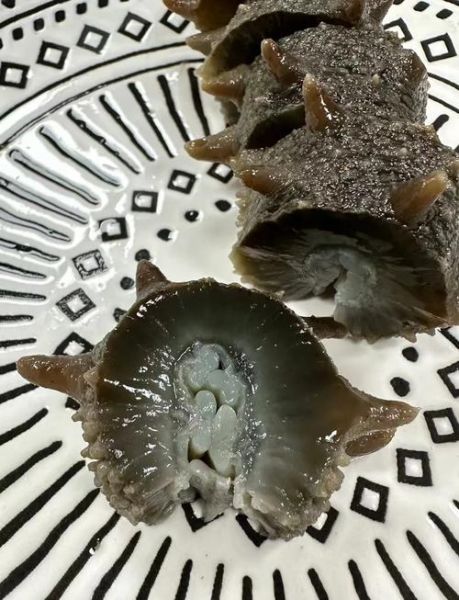 鲜海参价格多少一斤_鲜海参多少钱一斤-第1张图片-山城妙识 鲜海参价格多少一斤_鲜海参多少钱一斤-第1张图片-山城妙识