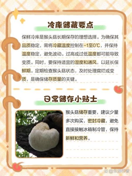 鲜猴头菇怎么保存_鲜猴头菇图片如何辨别真假-第1张图片-山城妙识