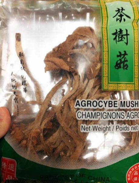 椒盐干炸茶树菇怎么做_茶树菇炸多久才酥脆-第3张图片-山城妙识