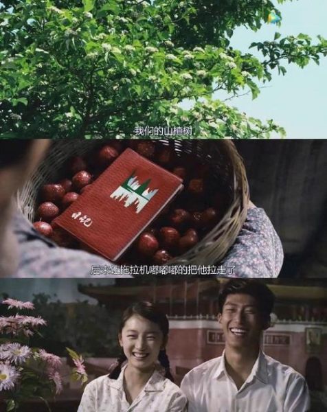 山楂树之恋35集剧情讲了什么_山楂树之恋结局静秋和老三在一起吗-第2张图片-山城妙识 山楂树之恋35集剧情讲了什么_山楂树之恋结局静秋和老三在一起吗-第2张图片-山城妙识