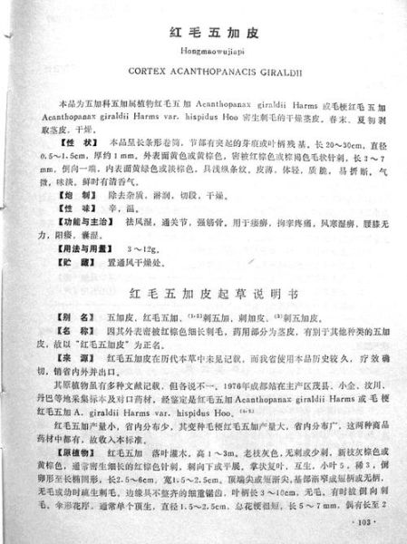 五加皮的功效与作用_五加皮主治哪些病-第2张图片-山城妙识