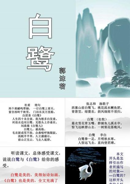 白鹭的诗句有哪些_白鹭意象在古诗中的寓意-第2张图片-山城妙识