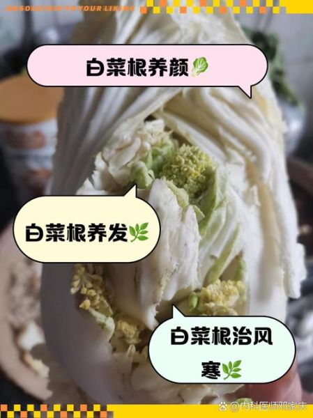 白菜根系结构图_白菜根有多深-第3张图片-山城妙识