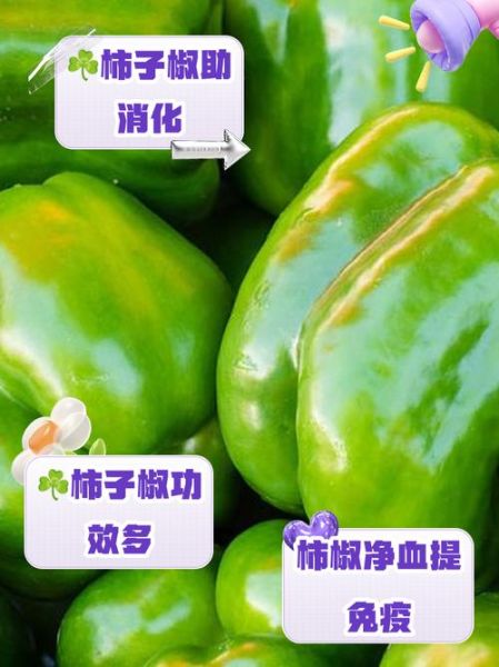 柿子椒的功效与作用_怎么吃最营养-第1张图片-山城妙识