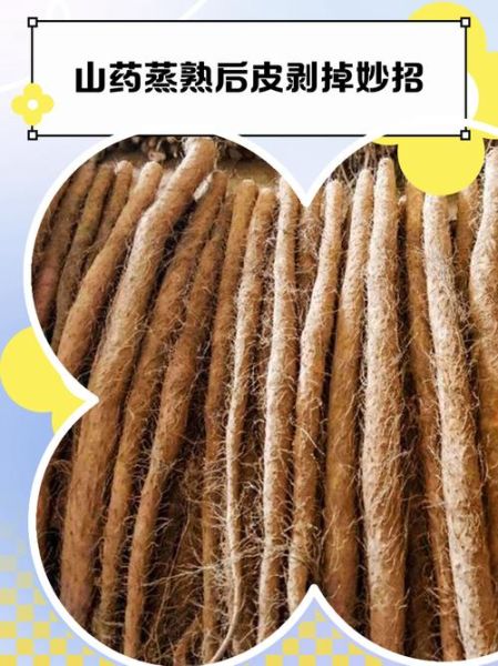 蒸山药去皮吗_蒸山药要不要去皮-第1张图片-山城妙识