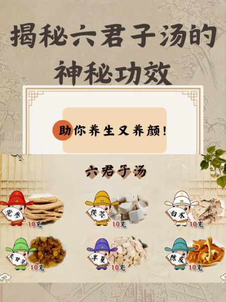 六君子汤标准配方_功效与禁忌-第1张图片-山城妙识
