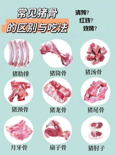 猪脊骨是哪个部位_猪脊骨和猪龙骨区别-第1张图片-山城妙识