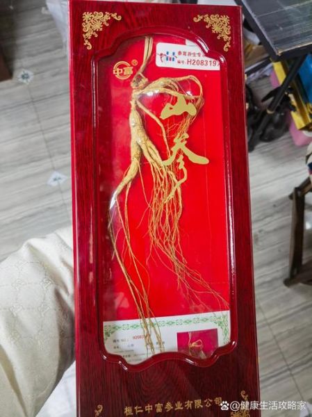 人参叶子图片大全_如何辨别真假-第2张图片-山城妙识 人参叶子图片大全_如何辨别真假-第2张图片-山城妙识