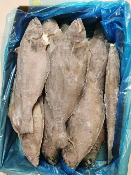 鲆鱼怎么读_鲆鱼是什么鱼-第1张图片-山城妙识