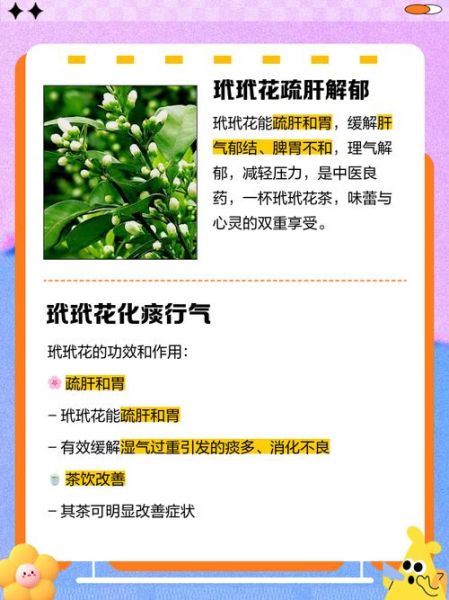 代代花泡水喝的功效_代代花泡水可以天天喝吗-第1张图片-山城妙识