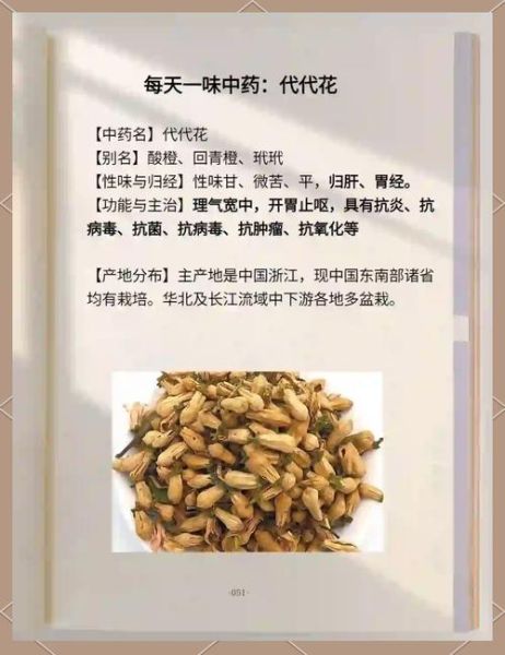 代代花泡水喝的功效_代代花泡水可以天天喝吗-第2张图片-山城妙识