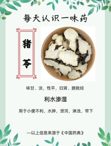 猪苓的功效与作用及禁忌_猪苓怎么吃效果最好-第1张图片-山城妙识