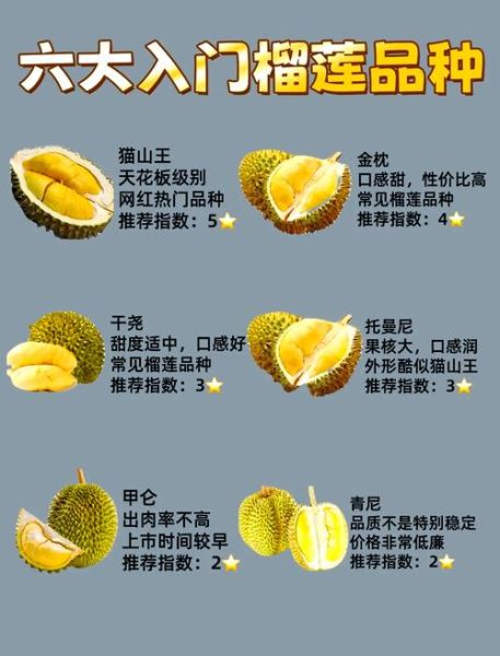 榴莲品种区别_哪种最好吃-第2张图片-山城妙识