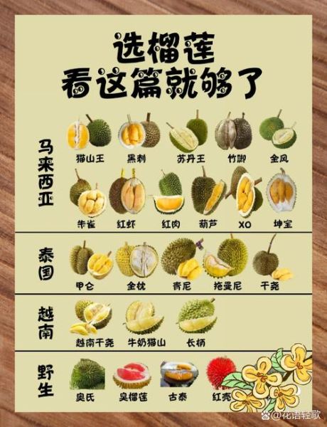榴莲品种区别_哪种最好吃-第3张图片-山城妙识