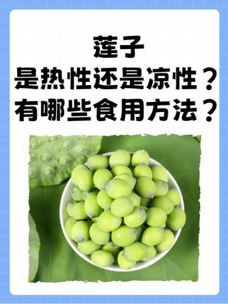 莲子是凉性还是热性_莲子寒性还是温性-第3张图片-山城妙识