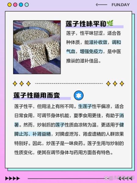 莲子是凉性还是热性_莲子寒性还是温性-第1张图片-山城妙识