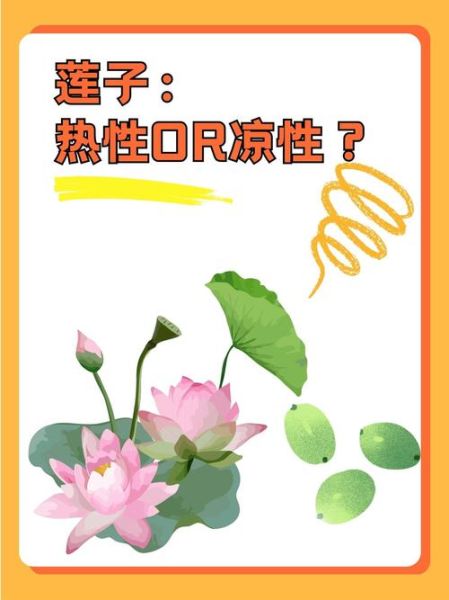 莲子是凉性还是热性_莲子寒性还是温性-第2张图片-山城妙识