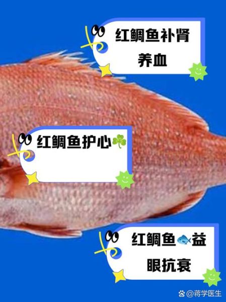 红鲷鱼多少钱一斤_红鲷鱼价格为什么差异大-第2张图片-山城妙识