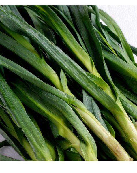 大蒜图片大全大图带叶子_新鲜大蒜叶子怎么识别-第1张图片-山城妙识