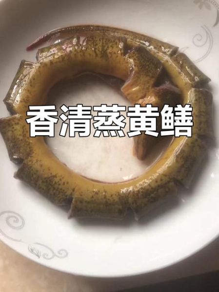 野生小黄鳝怎么做好吃_野生小黄鳝的家常做法窍门-第1张图片-山城妙识