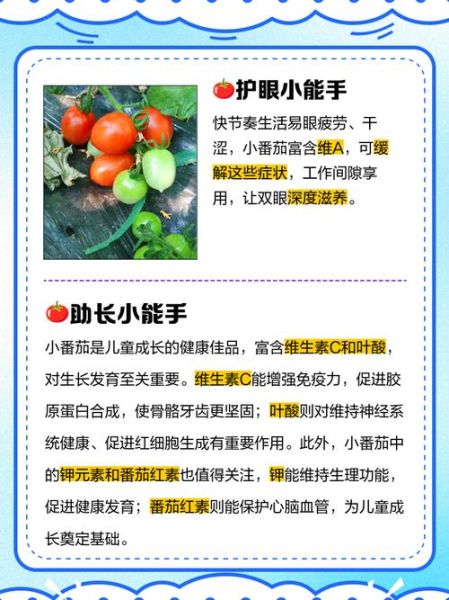 吃小番茄的好处有哪些_小番茄一天吃多少合适-第2张图片-山城妙识 吃小番茄的好处有哪些_小番茄一天吃多少合适-第2张图片-山城妙识