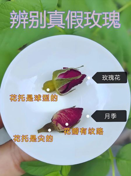 玫瑰花茶真假开水图片_如何辨别-第1张图片-山城妙识