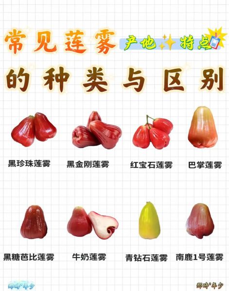 莲雾怎么吃图解法_莲雾怎么削皮图解-第2张图片-山城妙识