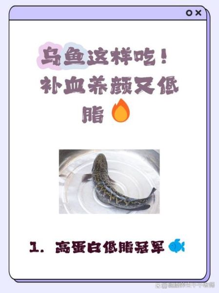 乌鱼汤为什么要加苹果_乌鱼汤加苹果有什么好处-第2张图片-山城妙识